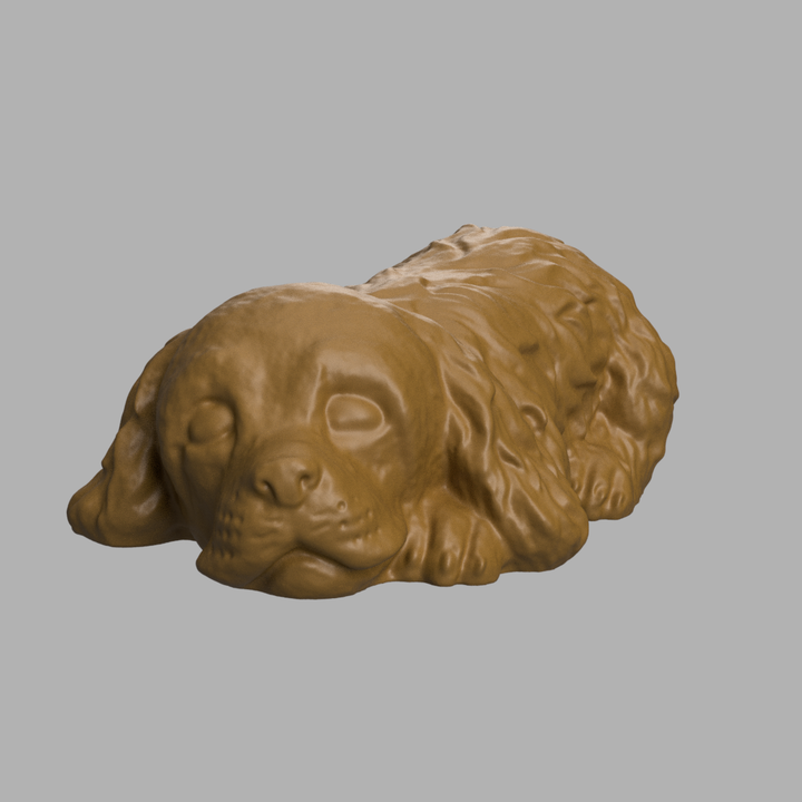 3D Printable Cocker spaniel sleeping by anthony