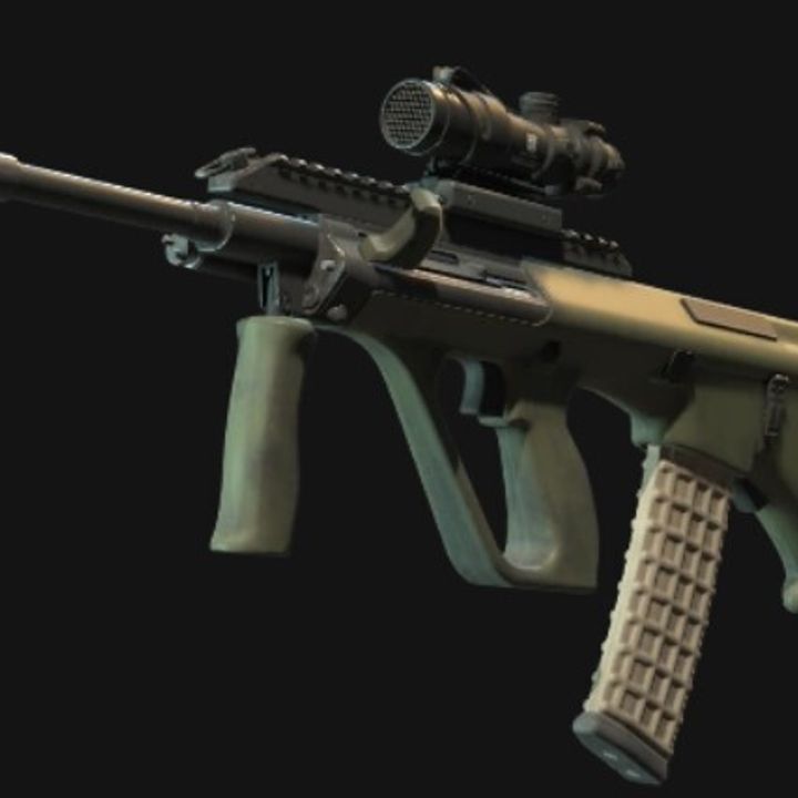 3D Printable Counter Strike AUG Steyr Mannlicher by alexandre wolfromm