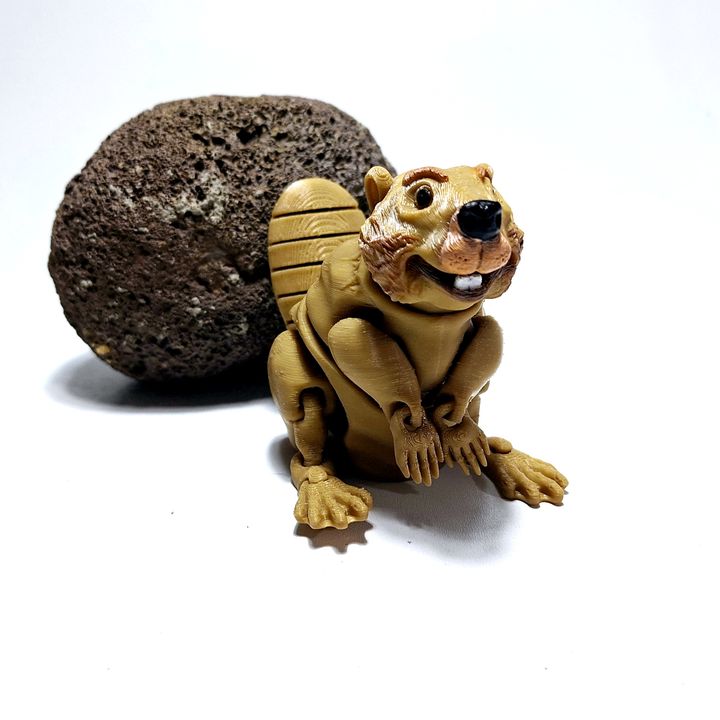 3D Printable Funny Beaver (All Articulated _ Support free_STL/3MF) by ...