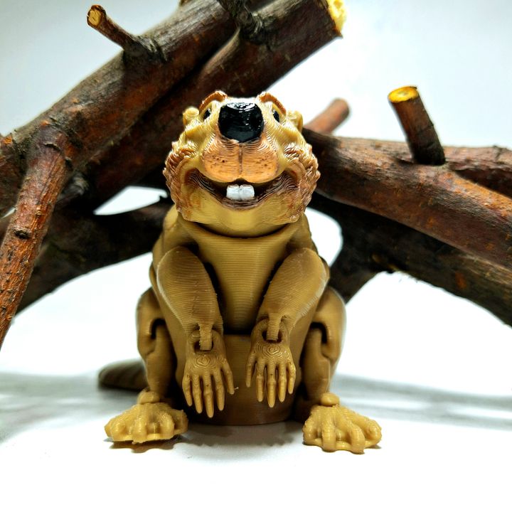 3D Printable Funny Beaver (All Articulated _ Support free_STL/3MF) by ...