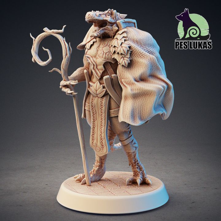 3D Printable Dragonborn Druid by Pes Lukas