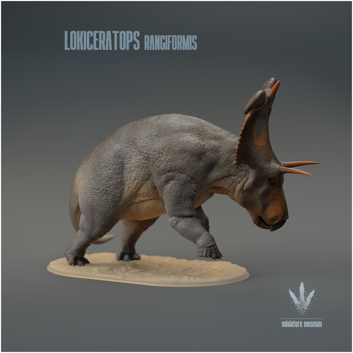 3D Printable Lokiceratops rangiformis : Attacking by Miniature Museum