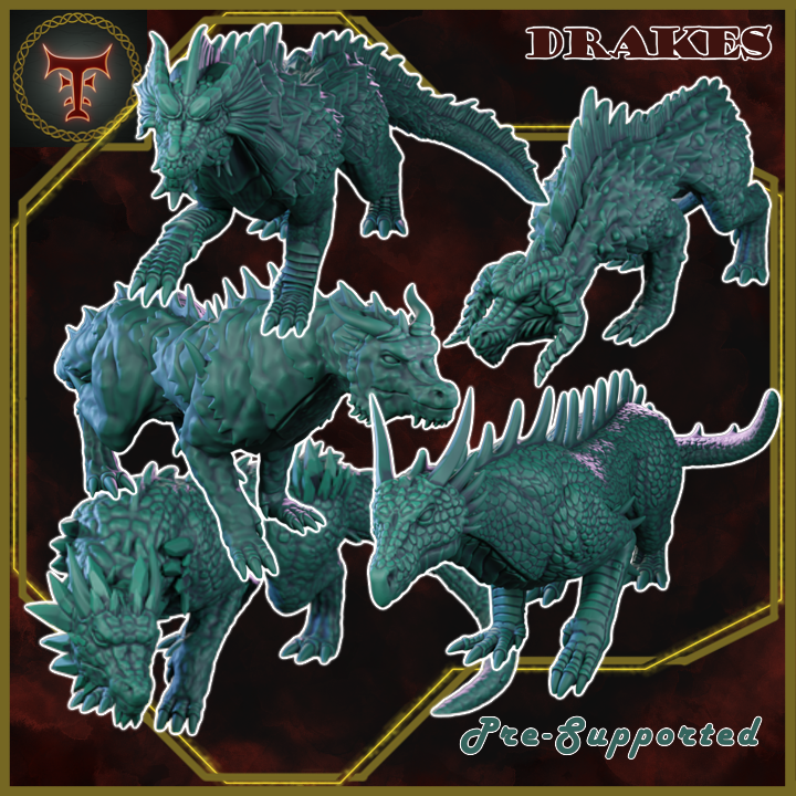 3D Printable Drake Set by Tarius Trinkets