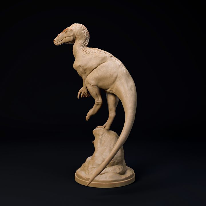 3D Printable Maip Macrothorax 1-35 scale pre-supported dinosaur by Dino ...