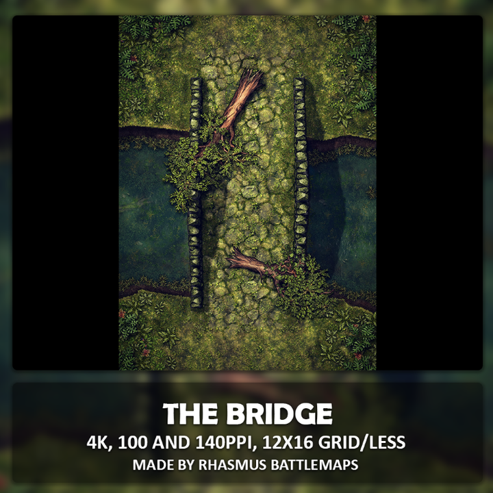 3D Printable The Bridge Map by Rhasmus Battlemaps