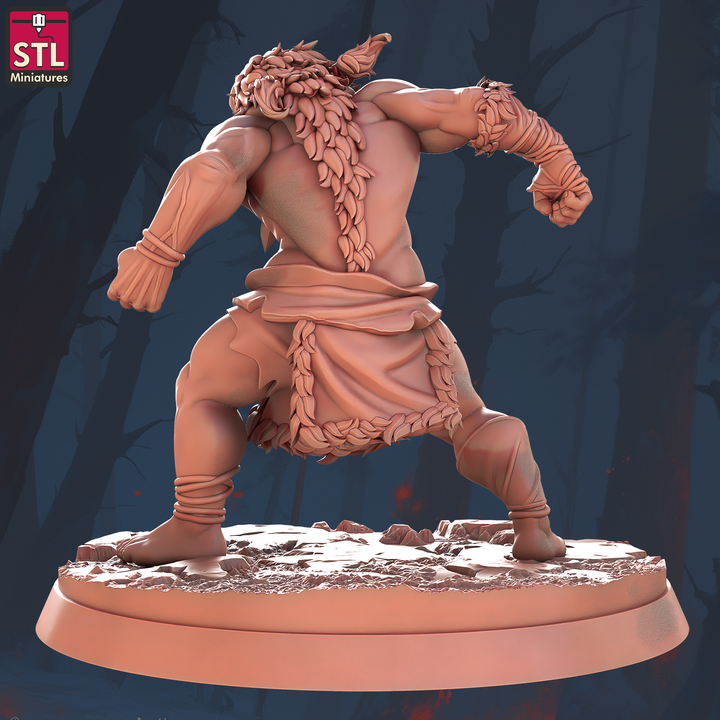 3D Printable Troll by STL Miniatures