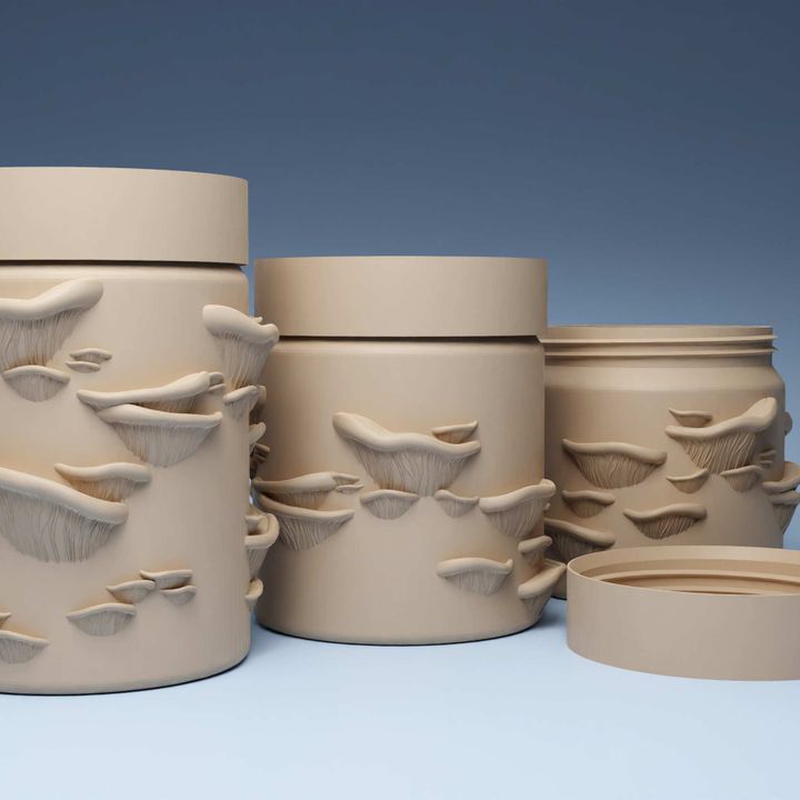 3D Printable Set of 3 Storage Boxes with Screw Caps - 3D Printing STL ...