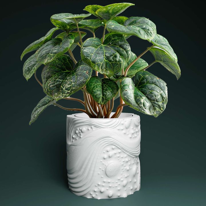 3D Printable Cosmic Plant pot with drainage 3D Printer STL file ...