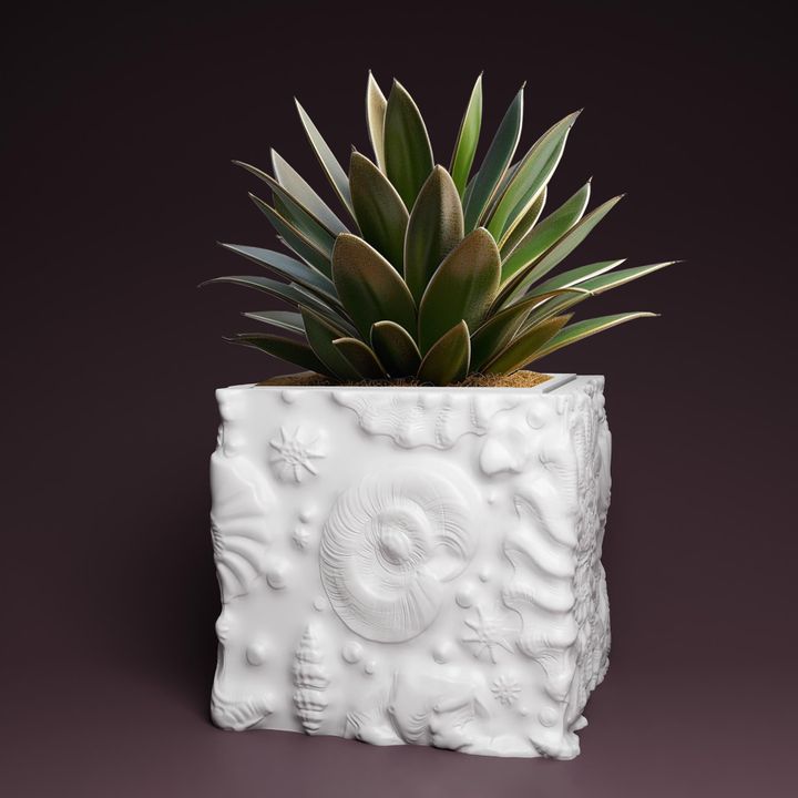 3D Printable Shellfish Plant pot with drainage 3D Printer STL file ...