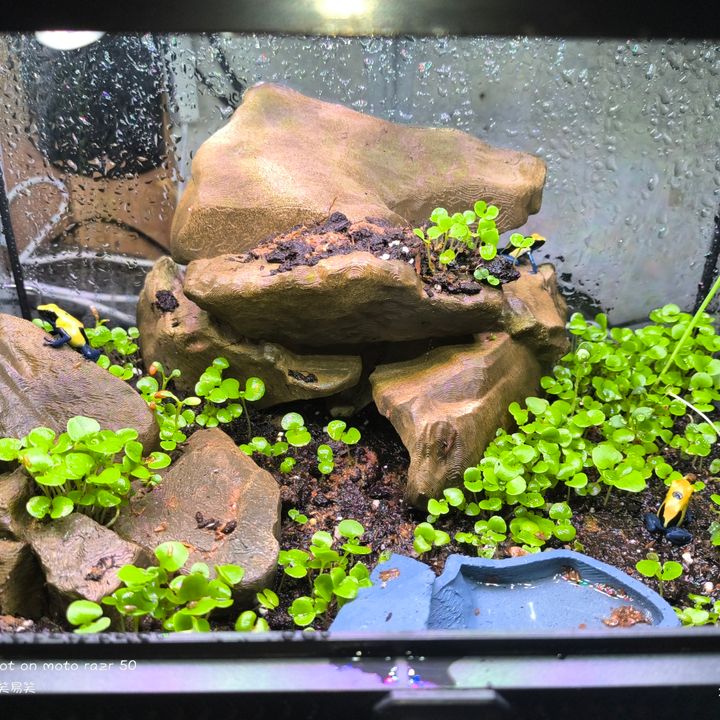 3D Printable Reptile fake rock cave background decoration by Green ...