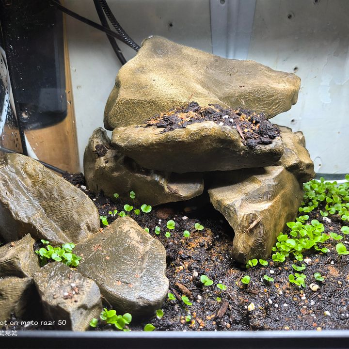 3D Printable Reptile fake rock cave background decoration by Green ...