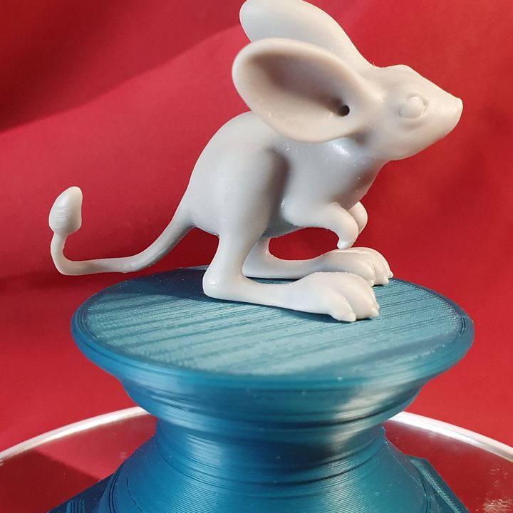 3D Printable Jaculus jaculus jerboa by david martin