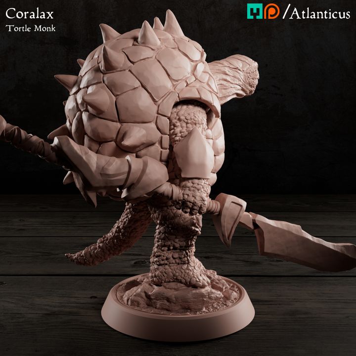 3D Printable 6 Month Loyalty Reward - Tortle Monk - Coralax by ...