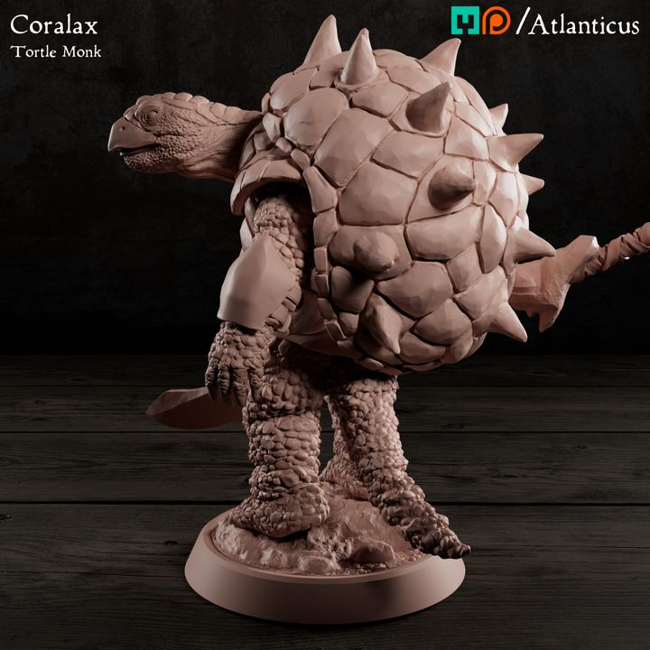 3D Printable 6 Month Loyalty Reward - Tortle Monk - Coralax by ...
