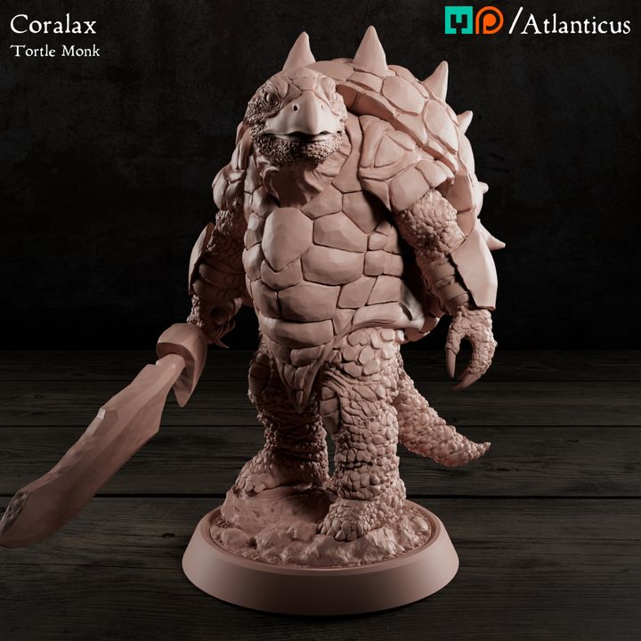3D Printable 6 Month Loyalty Reward - Tortle Monk - Coralax by ...