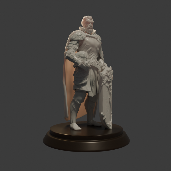 3D Printable Human Male Cleric by Tenda Orc Studio