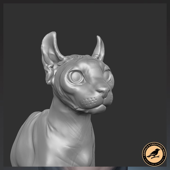 3D Printable Sphynx cat by Animals & Creatures Minis