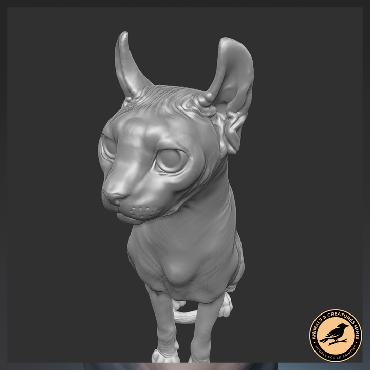 3D Printable Sphynx cat by Animals & Creatures Minis