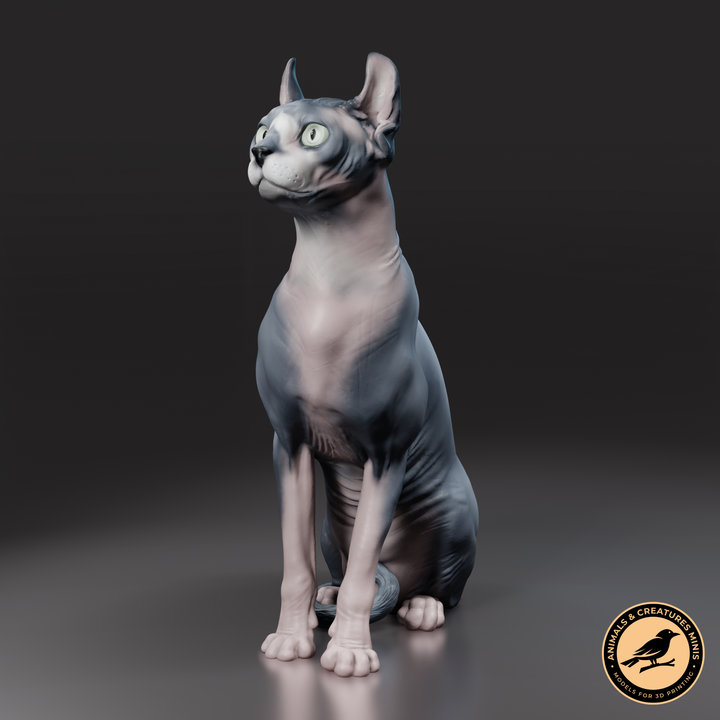 3D Printable Sphynx cat by Animals & Creatures Minis