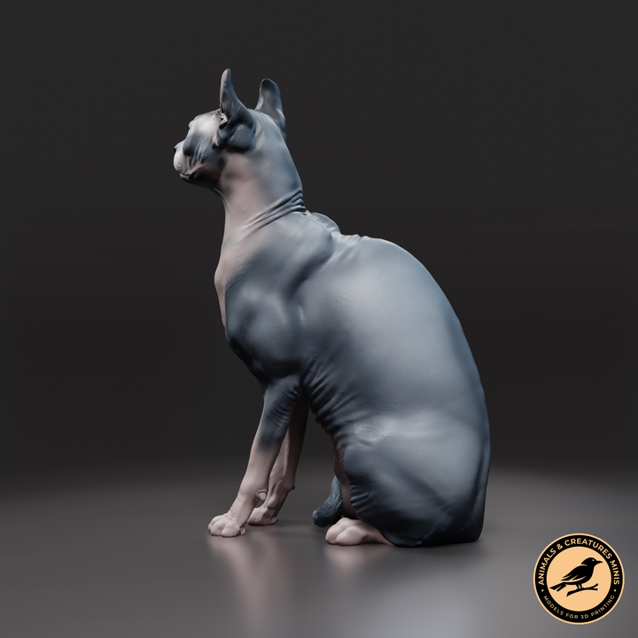 3D Printable Sphynx cat by Animals & Creatures Minis