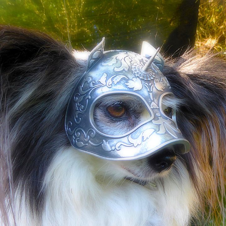 3D Printable Medieval Knights Dog Helmet. Scale To Size. Costume, prop ...