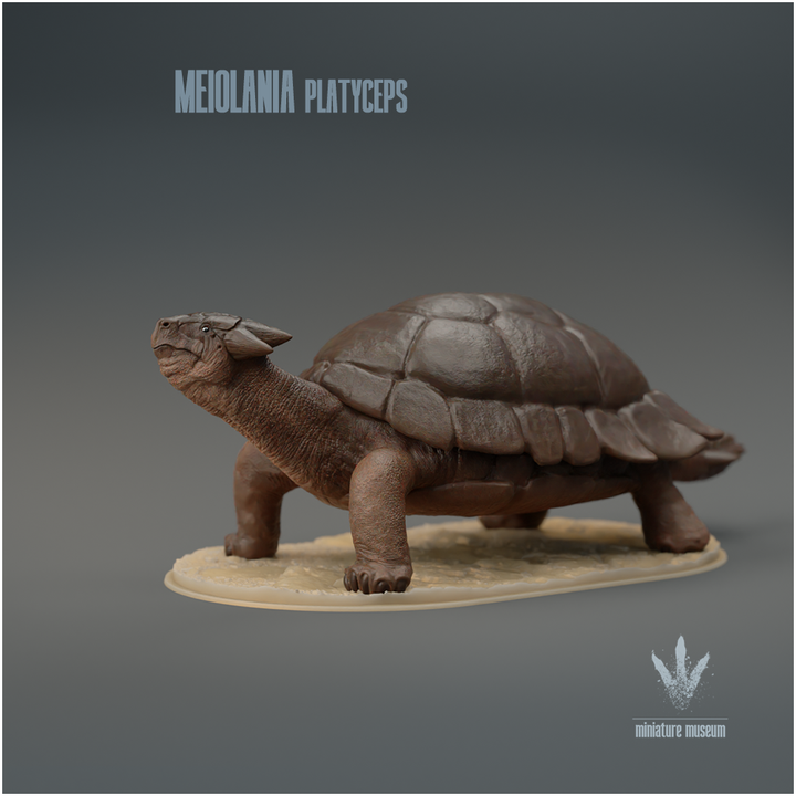 3D Printable Meiolania platyceps : The Tank Turtle by Miniature Museum