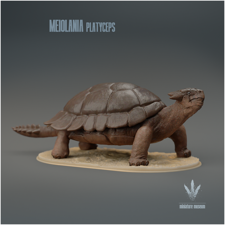 3D Printable Meiolania platyceps : The Tank Turtle by Miniature Museum