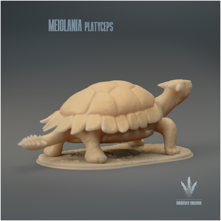 3D Printable Meiolania platyceps : The Tank Turtle by Miniature Museum