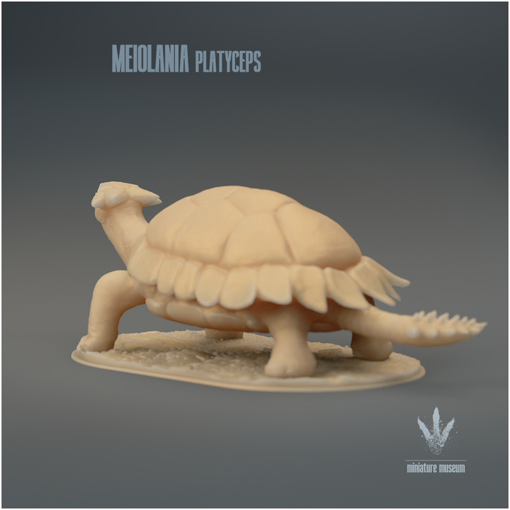 3D Printable Meiolania platyceps : The Tank Turtle by Miniature Museum