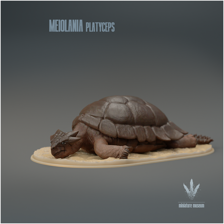 3D Printable Meiolania platyceps : Resting by Miniature Museum