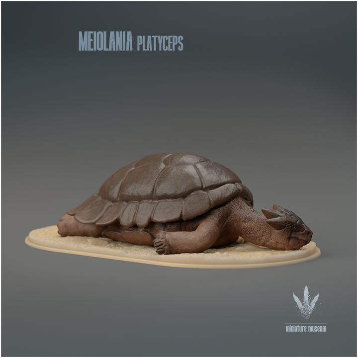 3D Printable Meiolania platyceps : Resting by Miniature Museum