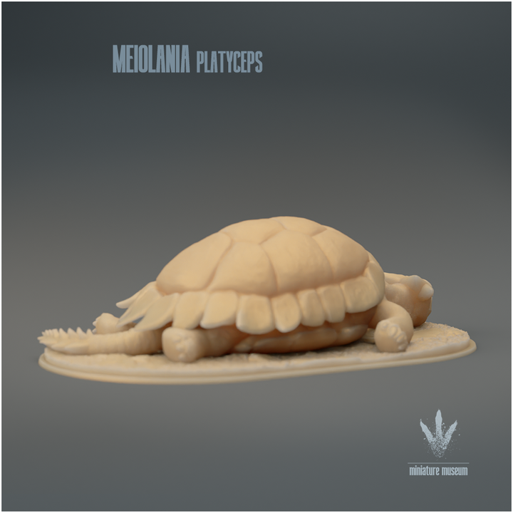 3D Printable Meiolania platyceps : Resting by Miniature Museum