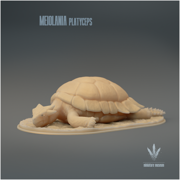 3D Printable Meiolania platyceps : Resting by Miniature Museum