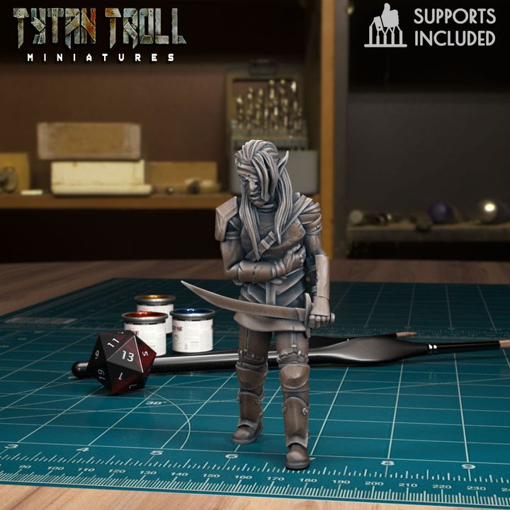 3D Printable Curse Of Strahd - Savid [Pre-Supported] by TytanTroll ...