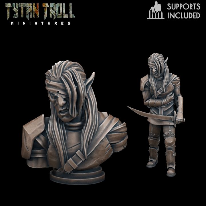 3D Printable Curse Of Strahd - Savid Mini Bust Combo [Pre-Supported] by ...