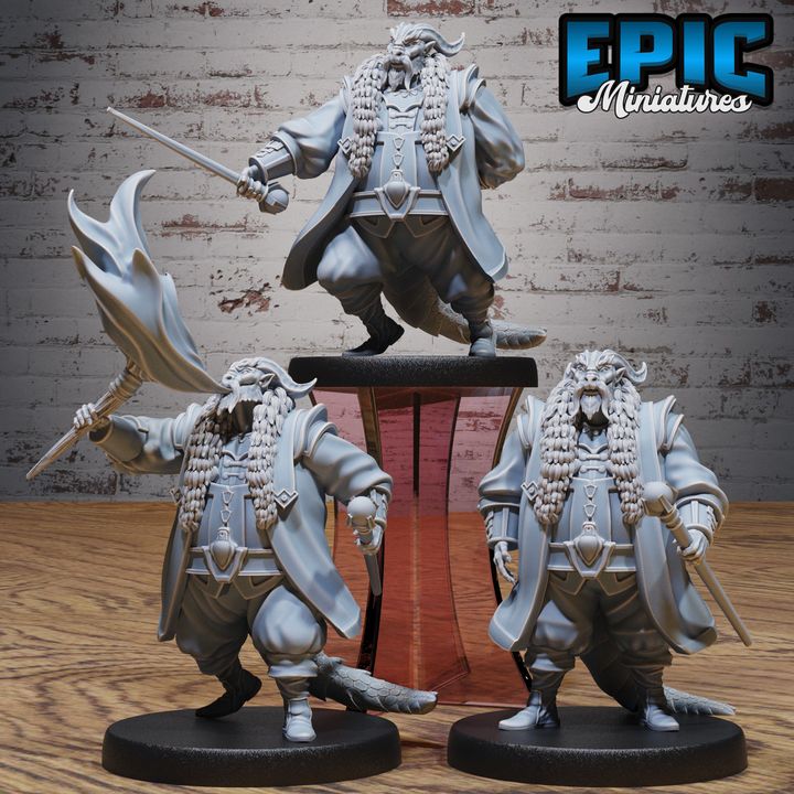 3D Printable Adventurer Guild Set / Noble & Royal NPC Collection ...
