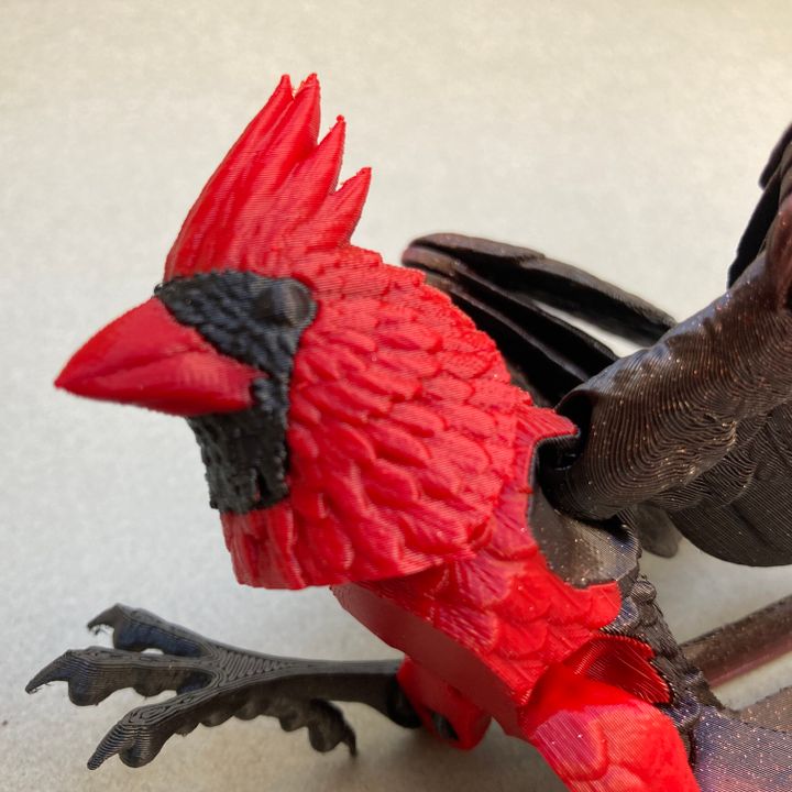 3D Printable Cardinal by I.magina 3d