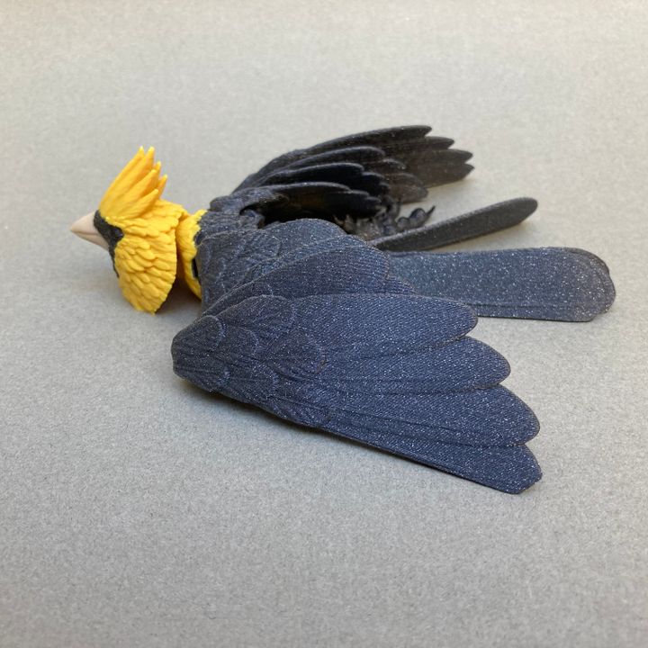 3D Printable Cardinal by I.magina 3d