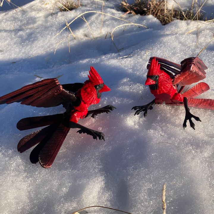 3D Printable Cardinal by I.magina 3d