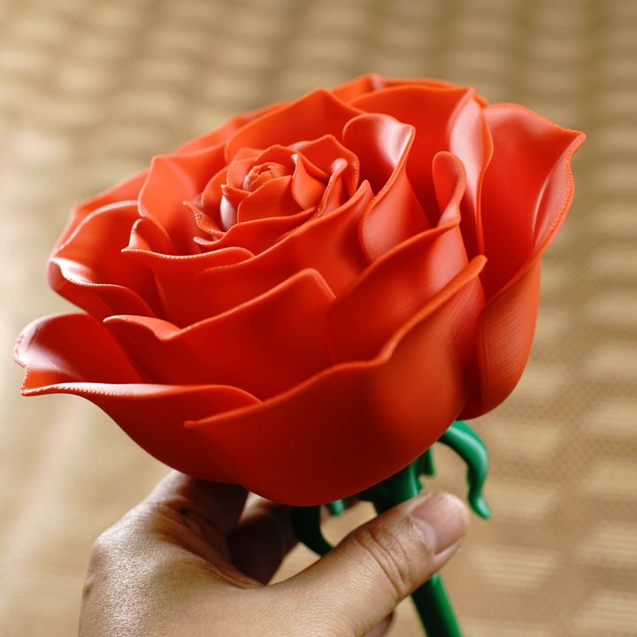 3D Printable 3D Printable Blooming Roses by UncleRay3Dprint