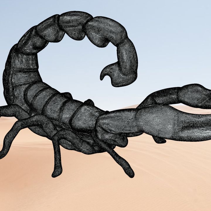 3D Printable animal Scorpion realistic by david martin
