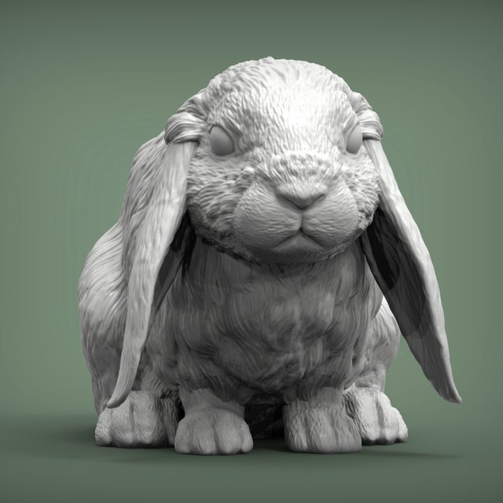 3D Printable American Fuzzy Fop by Alexander3dart