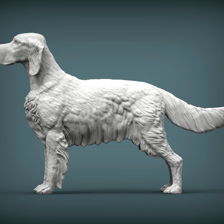 3D Printable English Setter by Alexander3dart