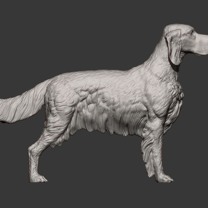 3D Printable English Setter by Alexander3dart