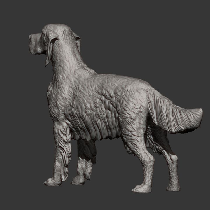 3D Printable English Setter by Alexander3dart