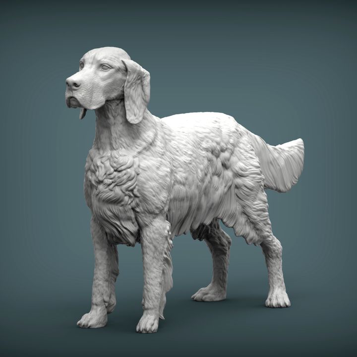 3D Printable English Setter by Alexander3dart