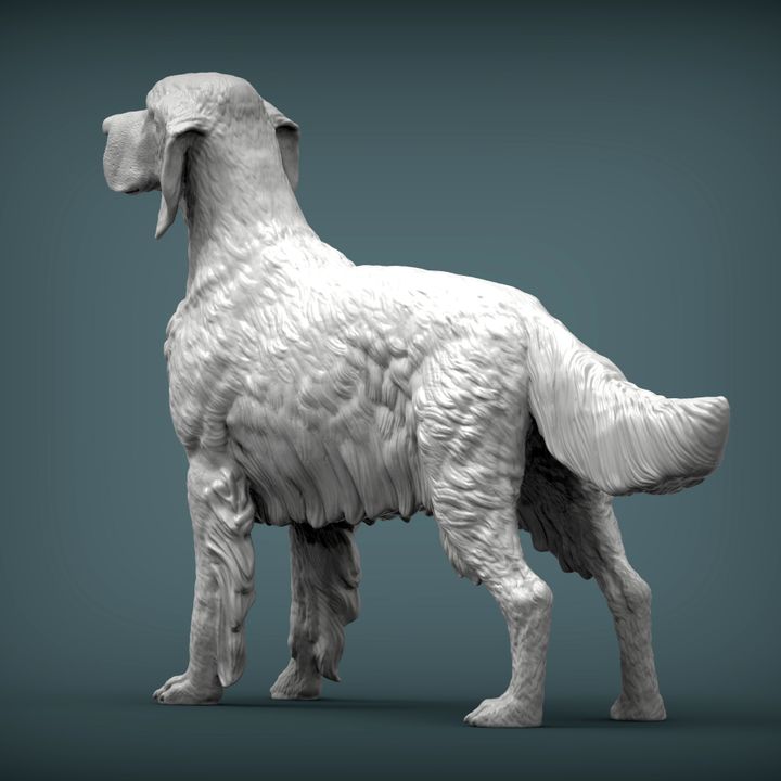 3D Printable English Setter by Alexander3dart