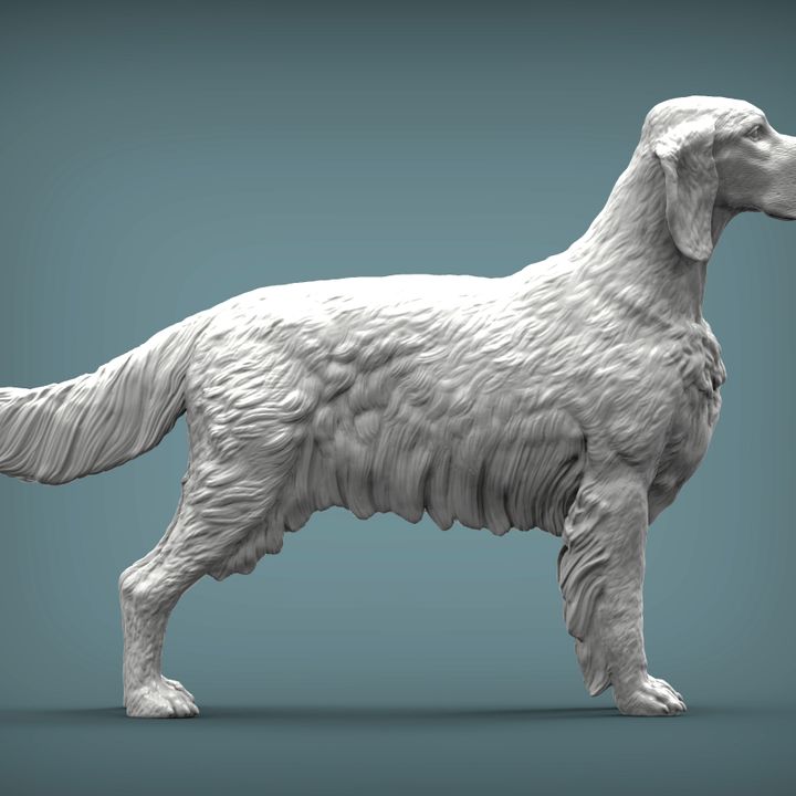 3D Printable English Setter by Alexander3dart