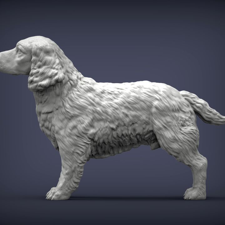 3D Printable English Springer spaniel by Alexander3dart