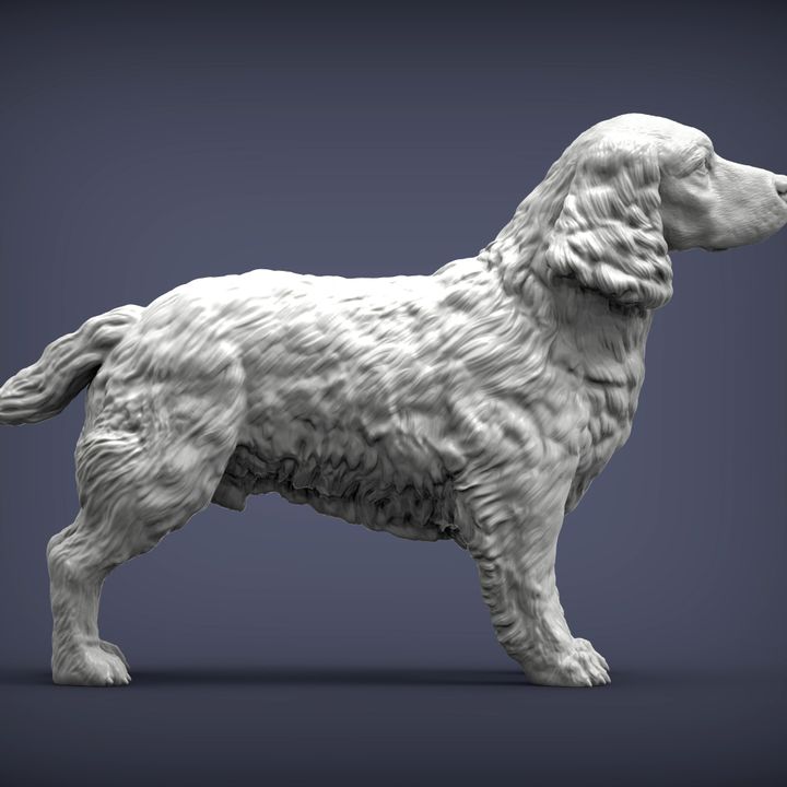 3D Printable English Springer spaniel by Alexander3dart